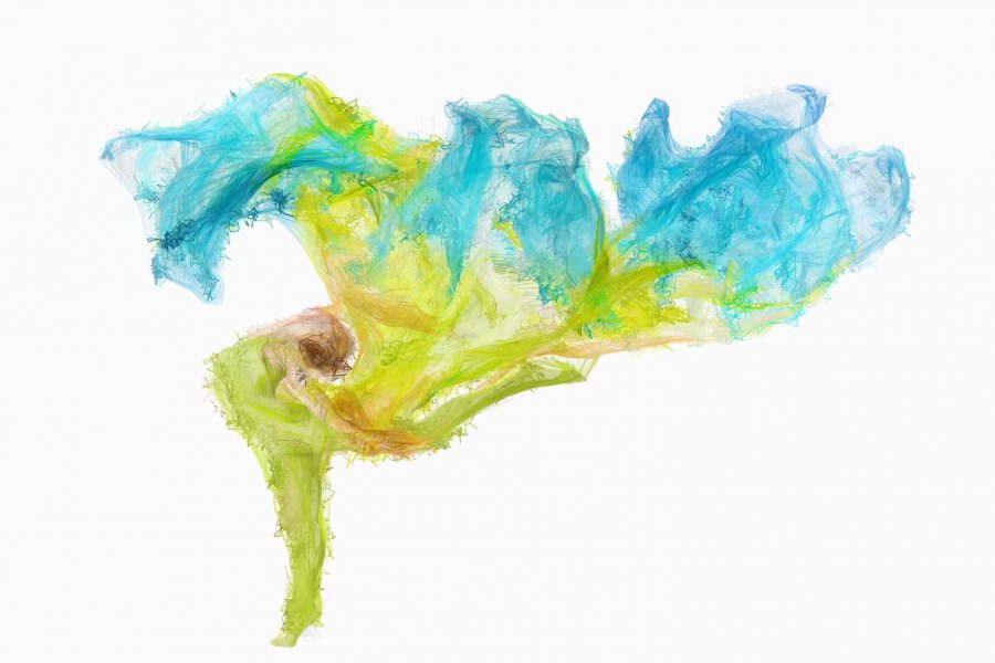 Studio Artist Automatic Assisted and Manual Painting Feature